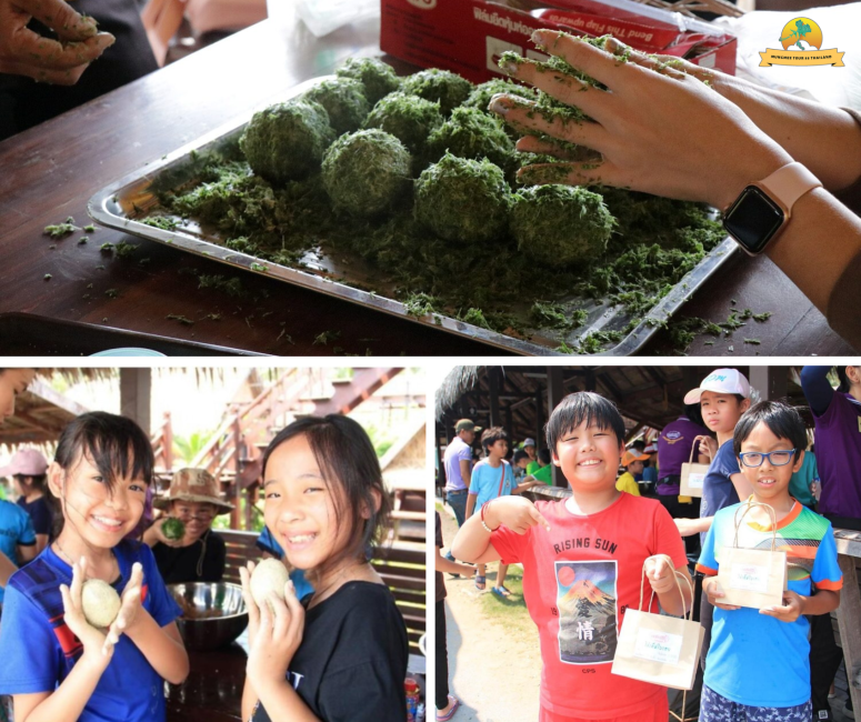 Suphan Buri Thai Local Life Day Trip: Pandan Salted Egg Activity and ...