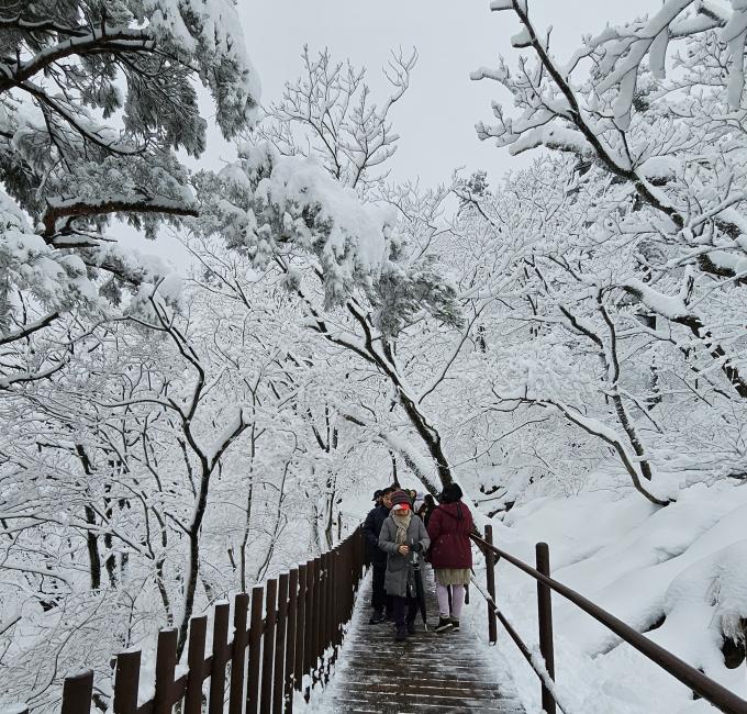 [One-day Snow Scenery Tour in Gangwon-do, Seoul] Seoraksan Mountain ...