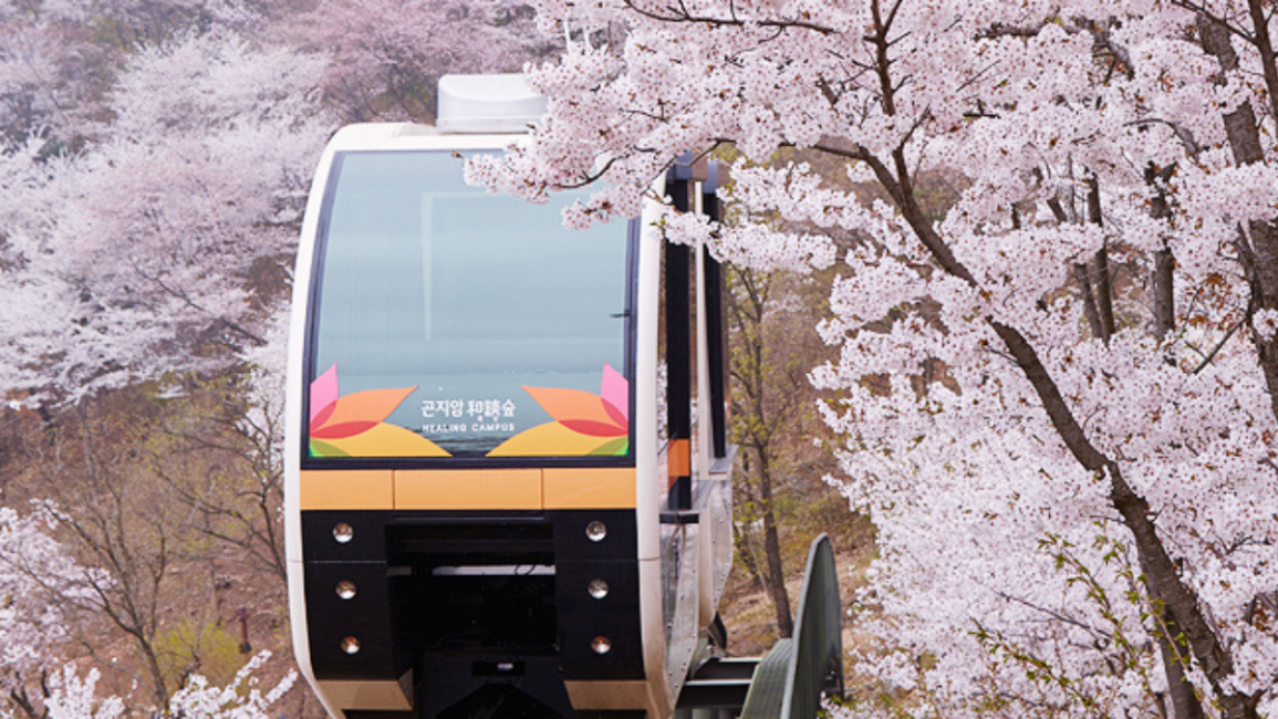 Gyeonggi-do One-Day Tour｜Hwadam Forest, LUGE Incline Car, Korean Folk ...