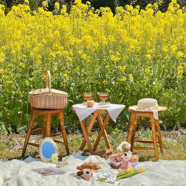 Picnic Experience Reservation: Stylish and Cute Japanese Picnic at ...