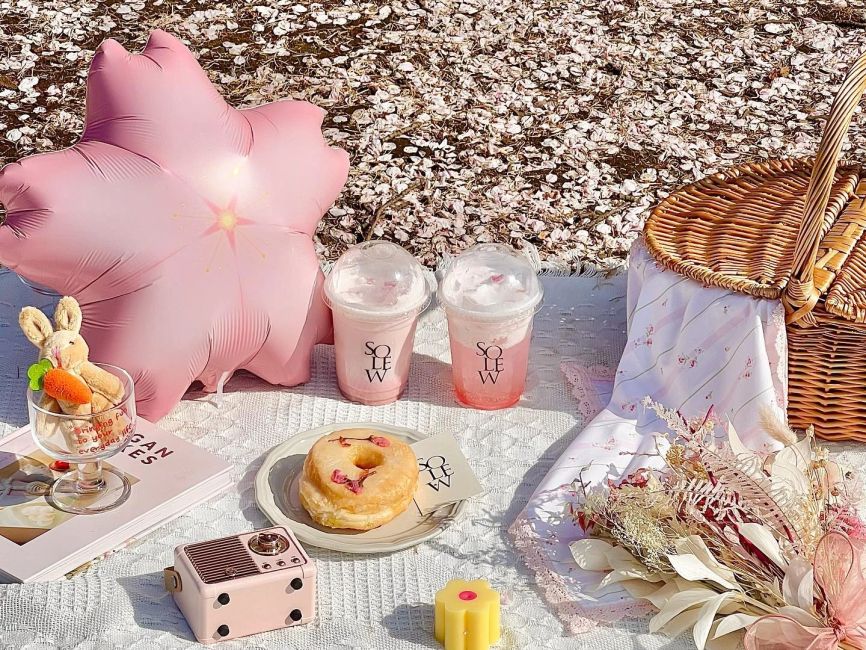 Picnic Experience Reservation: Stylish and Cute Japanese Picnic at ...