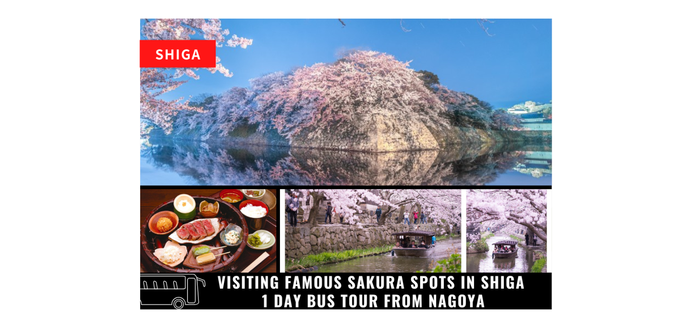 Visiting Famous Sakura Spots in Shiga 1 Day Bus Tour from Nagoya - KKday