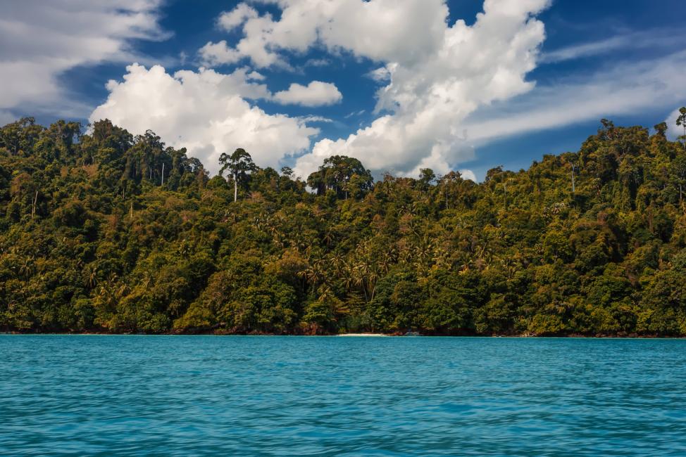 4 Islands Full Day Tour by Speedboat or Longtail Boat from Lanta - KKday