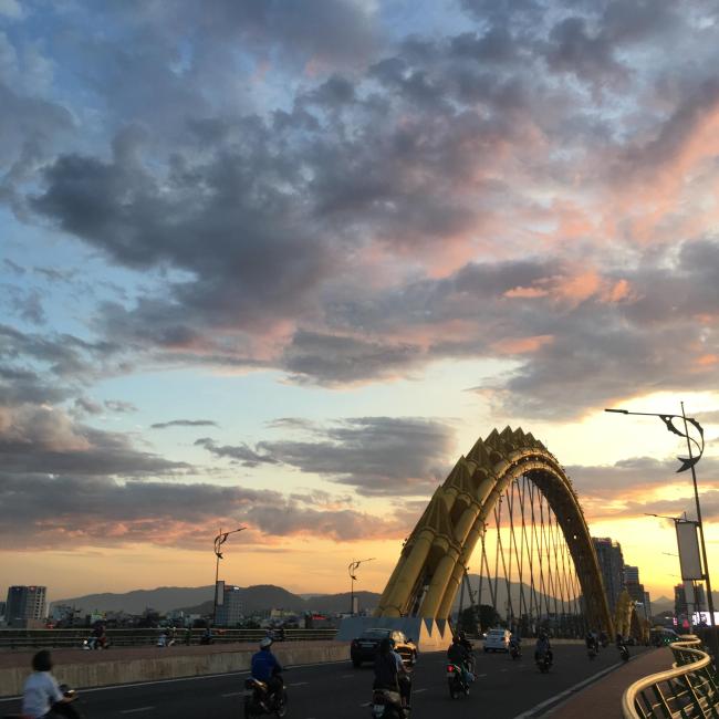 [Arrival] VIP Fast Track service for immigration clearance at Da Nang ...