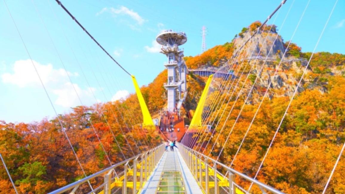 [Private Charter] One-day tour to Wonju, Gangwon-do (possible departure ...