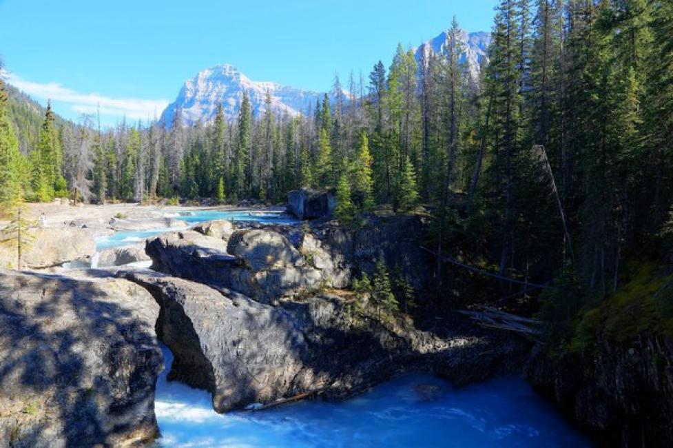 [Summer Only] YOHO National Park & Columbia Icefield 2-Day Tour from ...