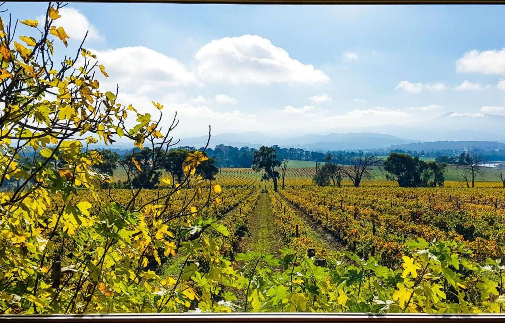 Wine Lovers: Yarra Valley Food & Wine Tours | Melbourne - KKday