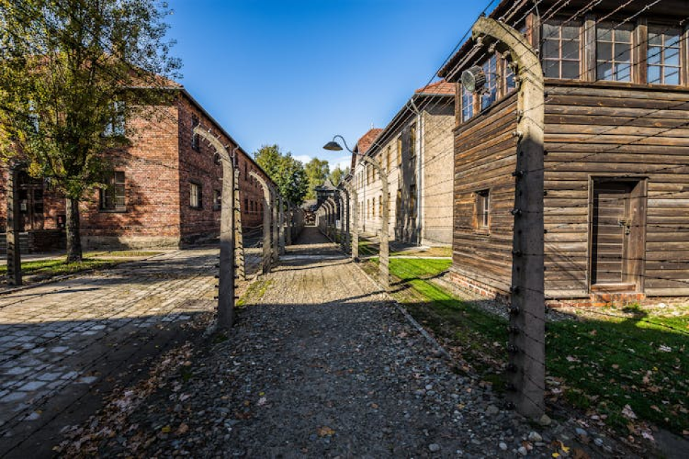 Auschwitz-Birkenau fast-track entry pass and guided tour - KKday