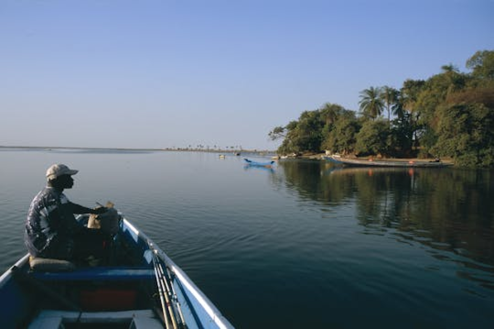 Saly 또는 Somone에서 출발하는 Bush 및 Saloum Delta 가이드 투어 - KKday