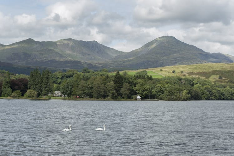 Coniston Wild Cat Island cruise - KKday