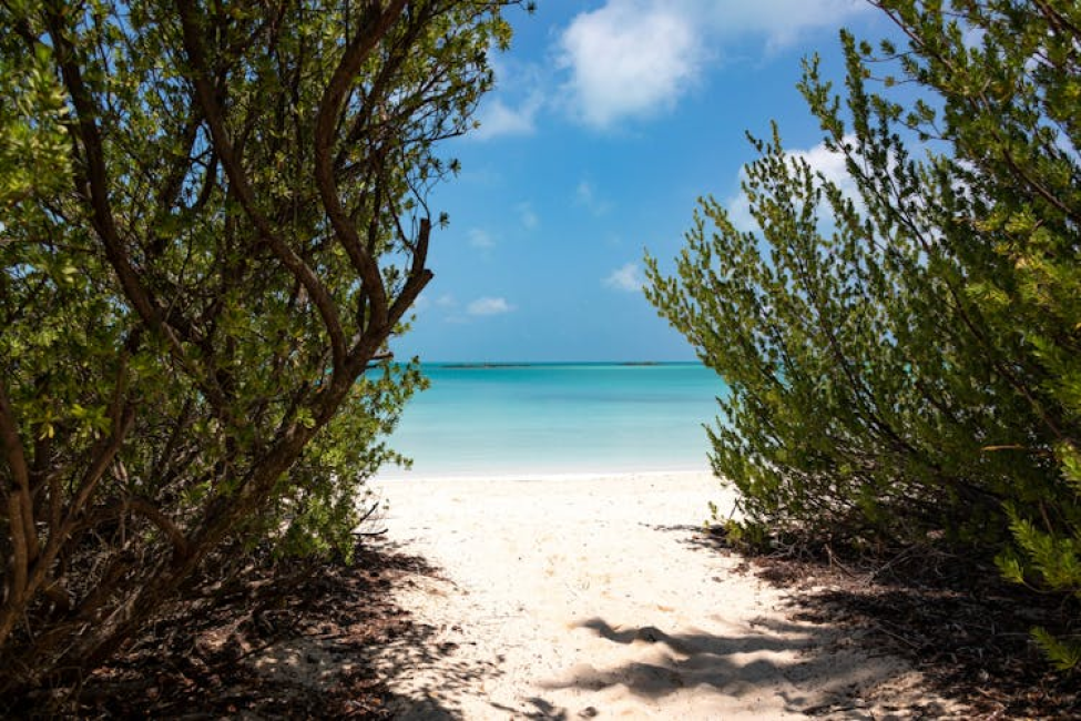 Isla Contoy Tour with Ixlaché Reef Snorkelling - KKday
