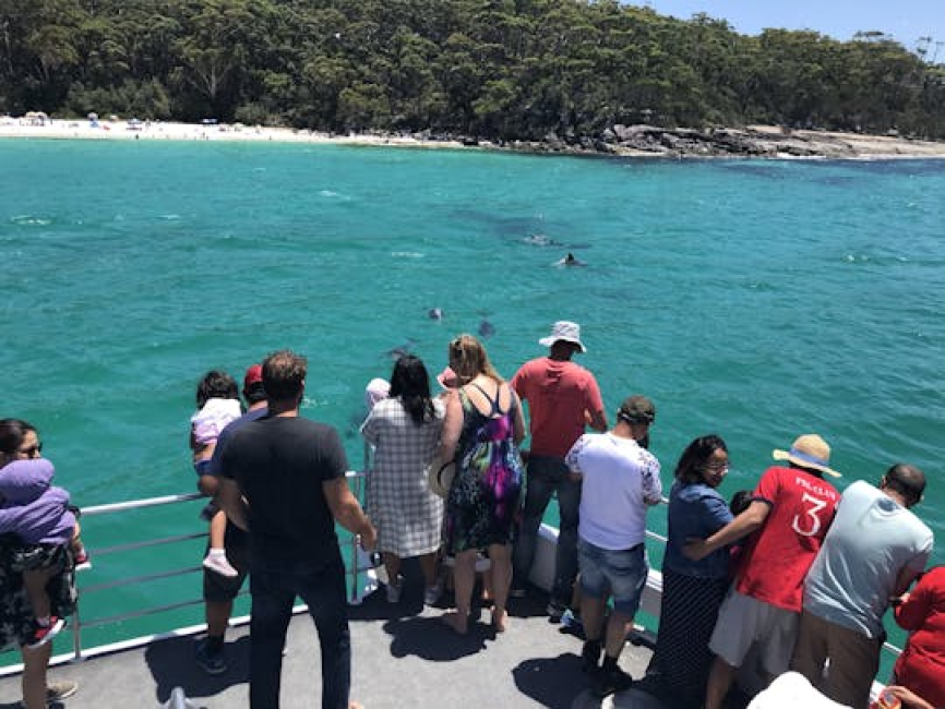 Jervis Bay dolphin cruise tour - KKday