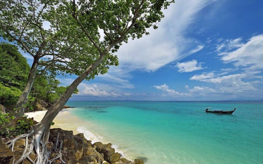 Phi Phi Islands Speedboat Tour with Ton Sai Beach Lunch - KKday