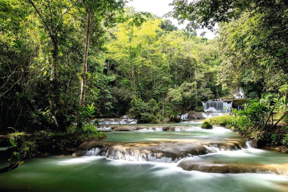 Private Black River & YS Falls Tour - KKday