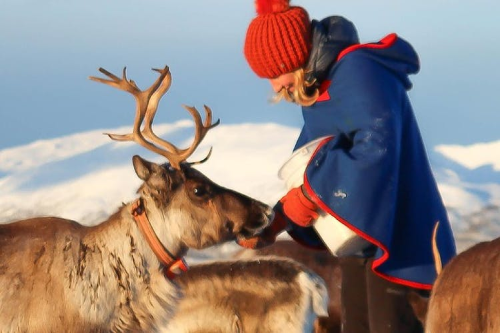 30-minute sleigh ride with a Sami culture experience - KKday