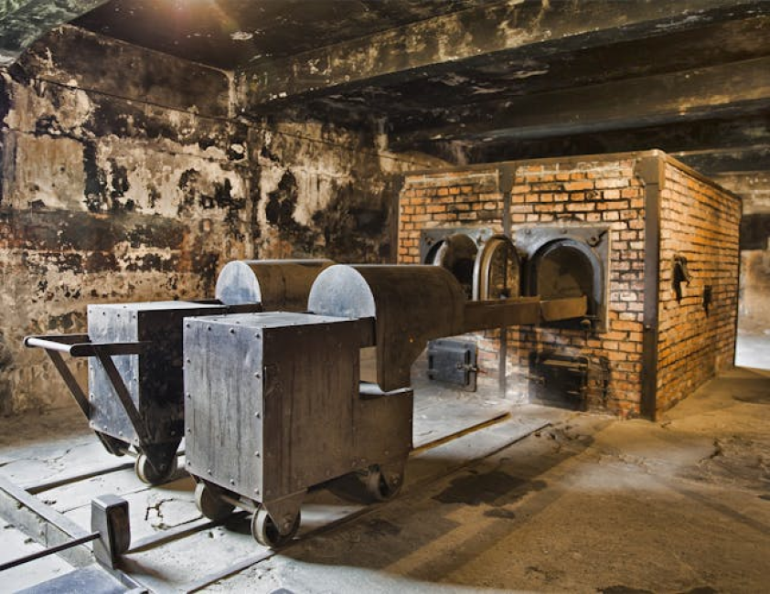 Auschwitz - Birkenau guided Memorial tour from Krakow - KKday