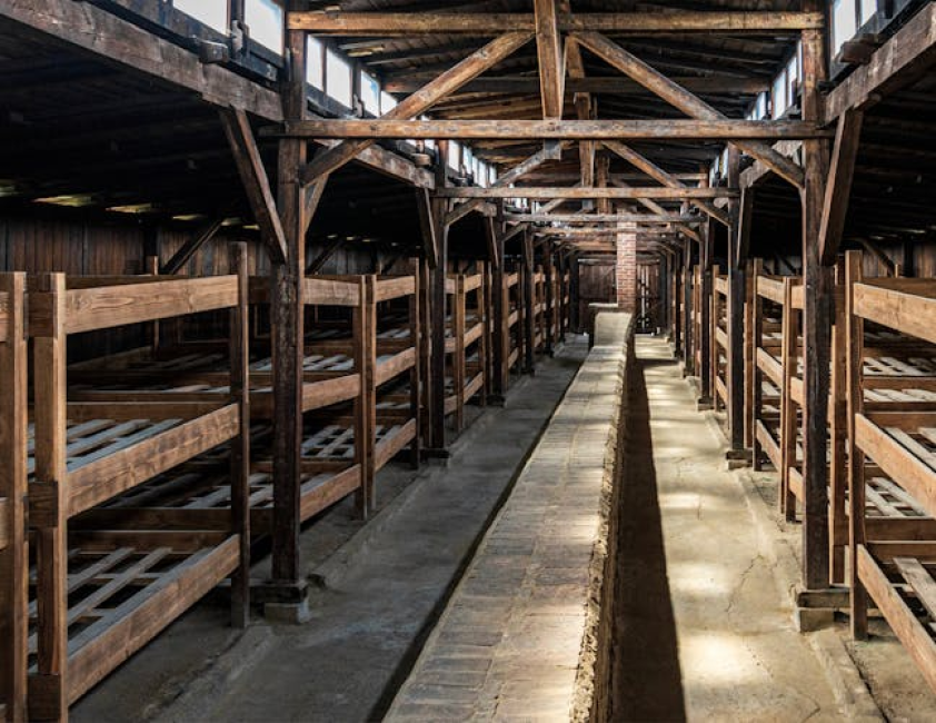 Auschwitz - Birkenau guided Memorial tour from Krakow - KKday