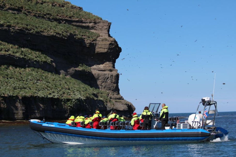 Húsavík whale safari and Puffin Island RIB boat tour - KKday