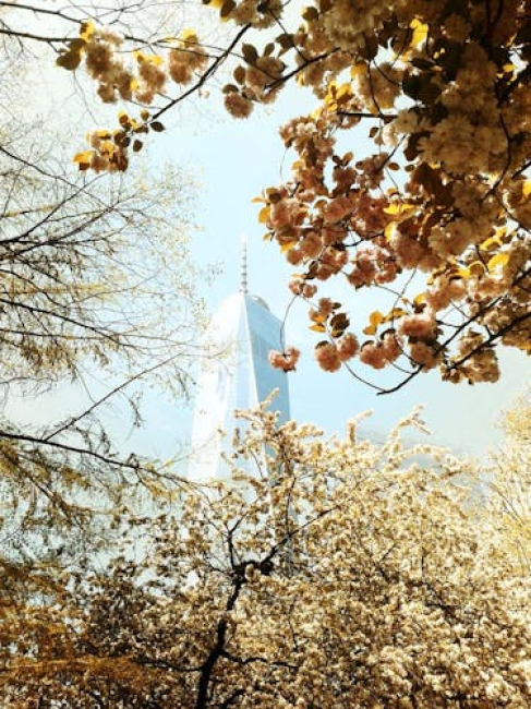 Ground Zero tour with optional One World Observatory ticket - KKday