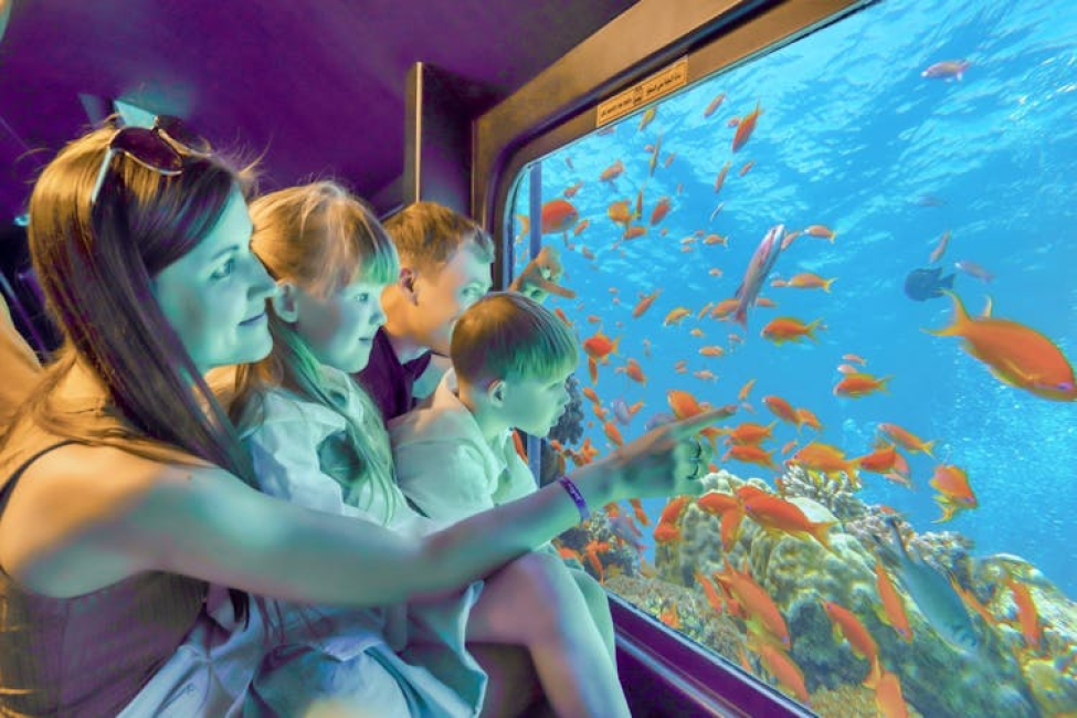 Seascope submarine tour in Marsa Alam - KKday