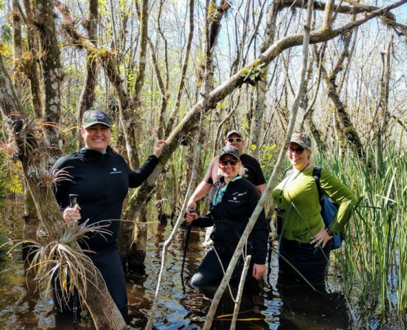 Everglades National Park full-day adventure tour with wet hike - KKday