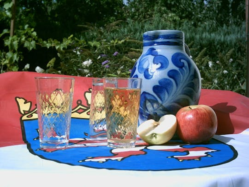Frankfurt's apple wine private tour with a local guide - KKday