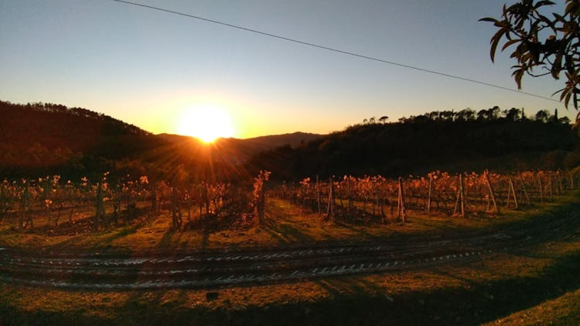 Chianti sunset excursion with wine tasting and optional dinner - KKday