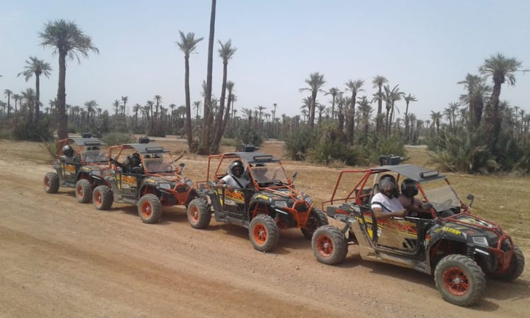 Marrakech Palm Grove buggy tour with Moroccan tea break - KKday