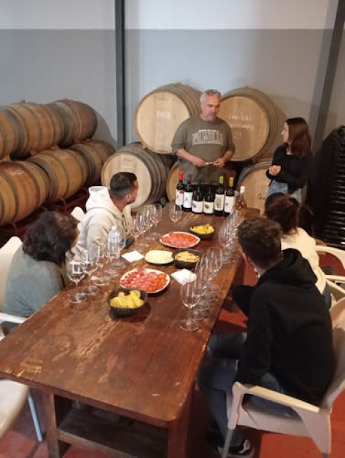 Half-day winery tour with wine tasting and tapas - KKday
