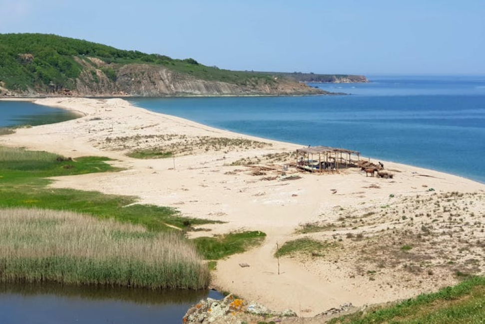 꿀 시식과 함께 Strandzha 자연 보호 구역까지 4x4 사진 사파리 - KKday