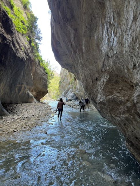 Sarakina Gorge and south coast guided tour - KKday