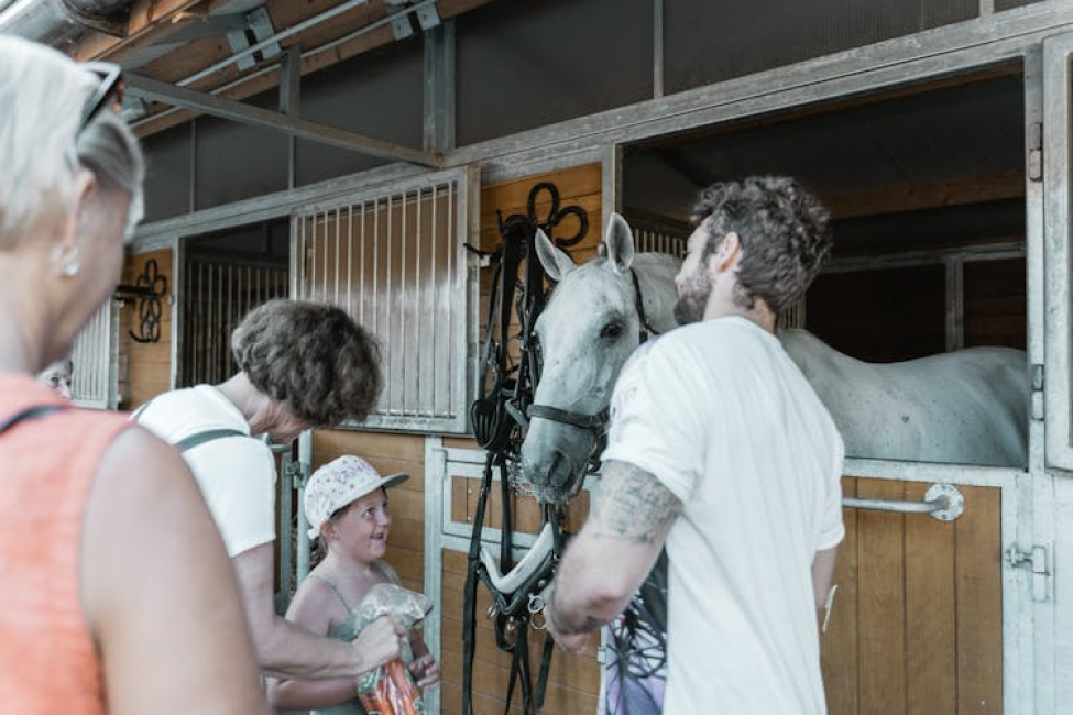 Secrets of the Viennese Fiaker and carriage ride in Vienna - KKday