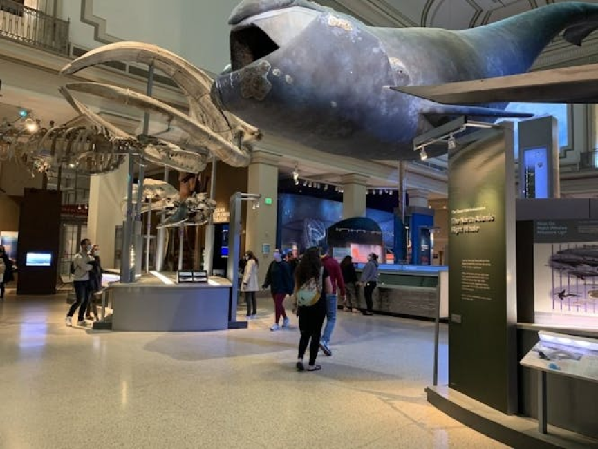 Washington DC Smithsonian National Museum of Natural History tickets ...