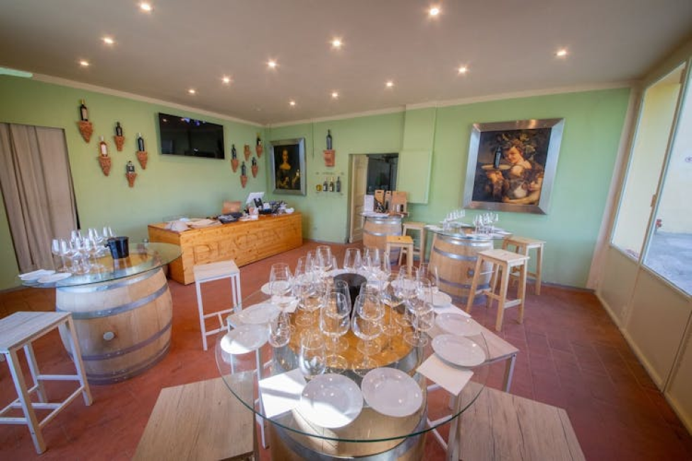 Wine-making experience and gourmet dinner at a Tuscan winery boutique ...