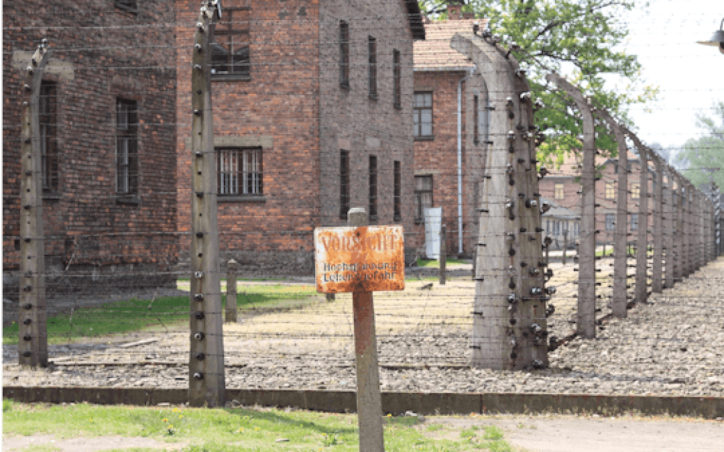 Auschwitz-Birkenau guided tour with private transport from Krakow - KKday