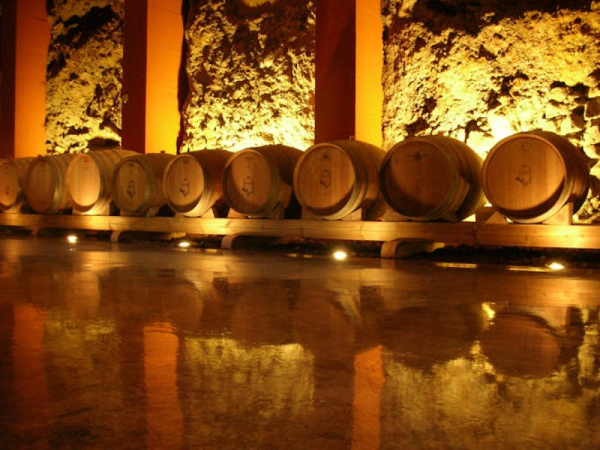 Bodegas Monje – Visit and Winetasting - KKday
