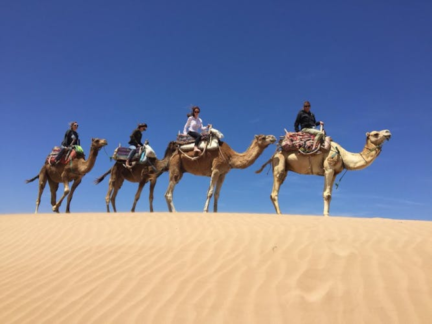 Camel Ride on the Beach of Essaouria - KKday
