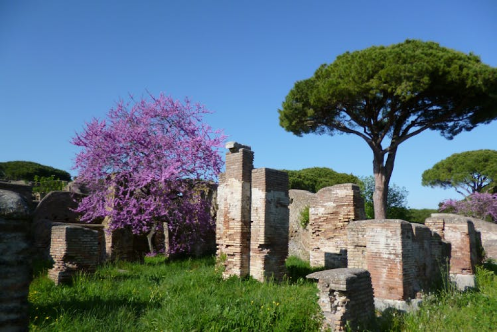 Half-day guided tour of Ostia Antica archeological park - KKday