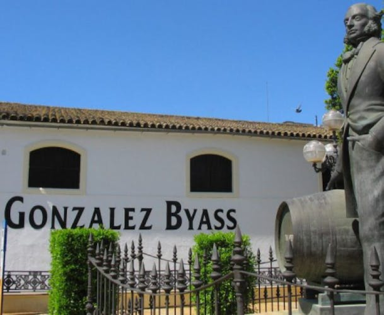 Jerez private guided tour - KKday