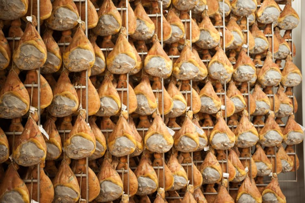 Parma ham factory experience - KKday