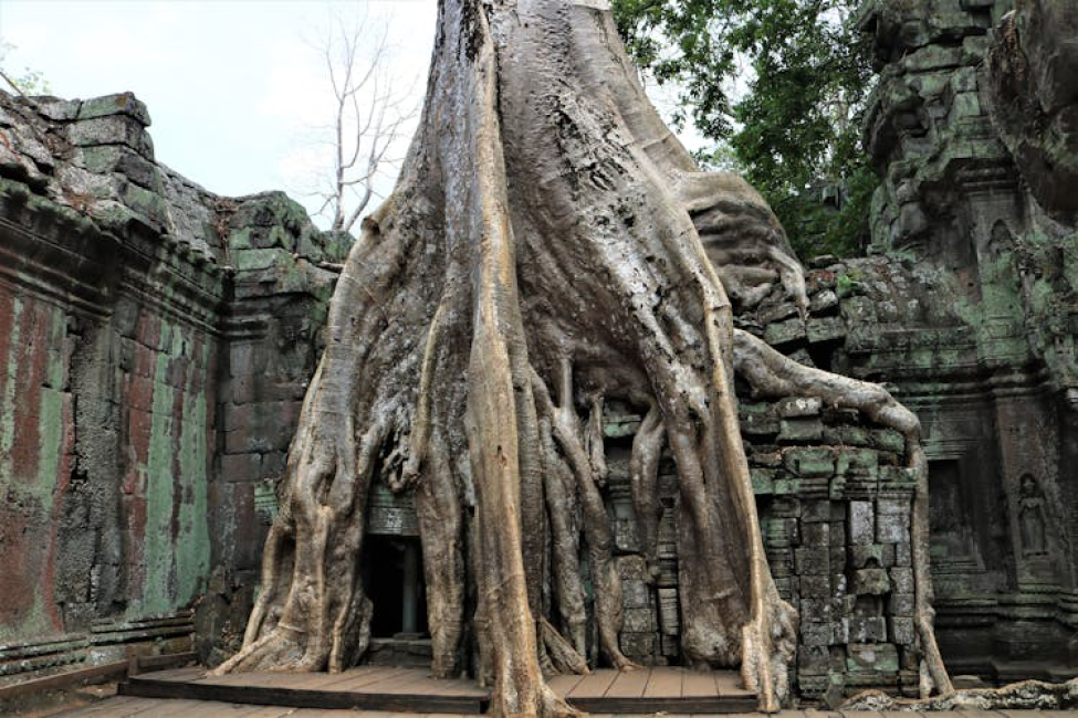 2-Day Angkor Temples highlights small group tour - KKday