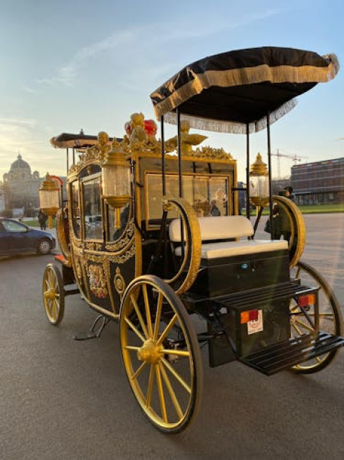 Imperial Vienna e-carriage tour - KKday