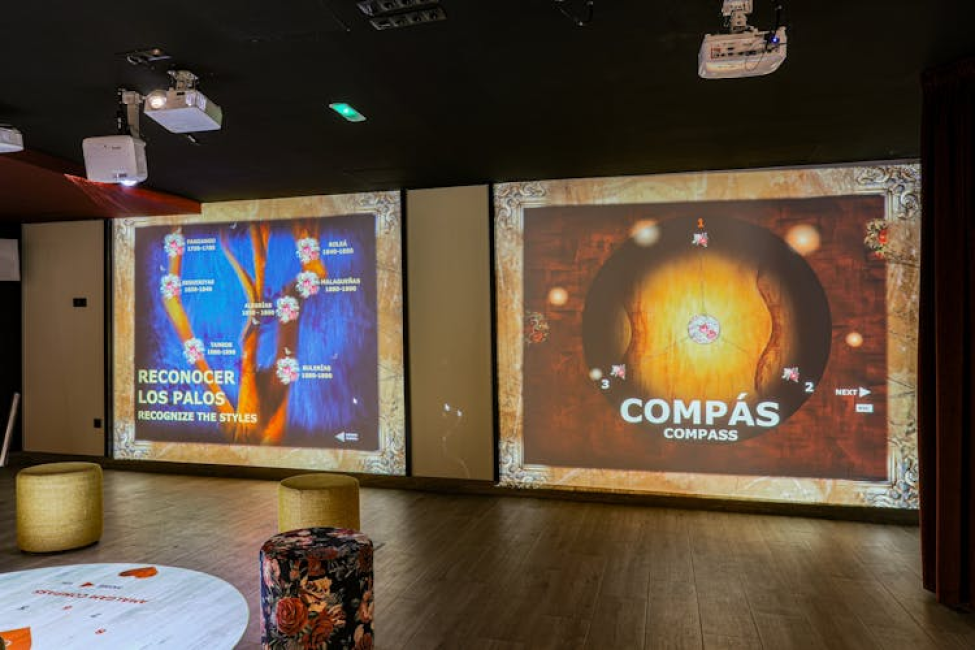 Interactive flamenco experience and guided tour in Málaga - KKday