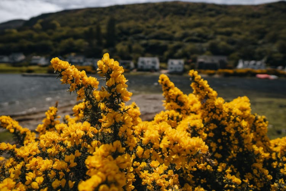 Island of Arran Day Tour from Glasgow - KKday