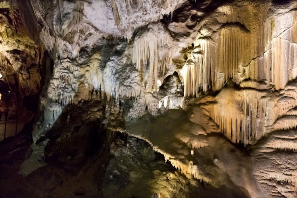 Lipica Stud farm and Postojna cave tour from the Slovenian Coast - KKday