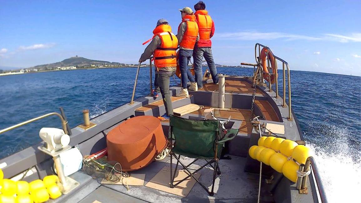 Jeju Dolphin Watching Tour - KKday