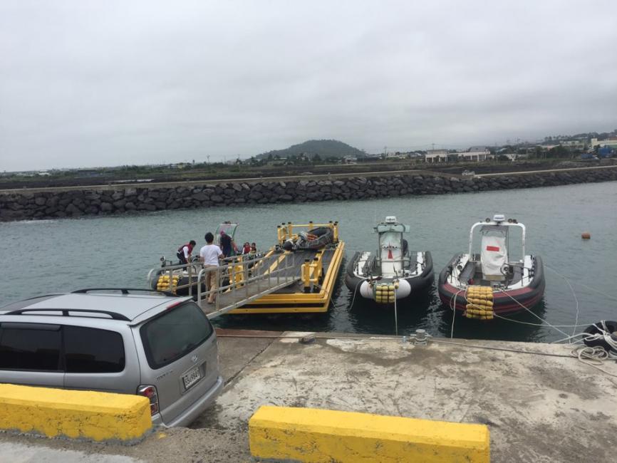 Jeju Dolphin Watching Tour - KKday