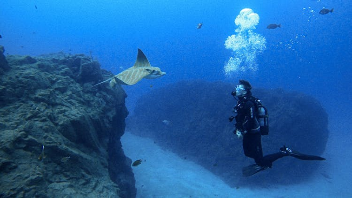 Package 4 dives or 6 dives for certified divers - KKday