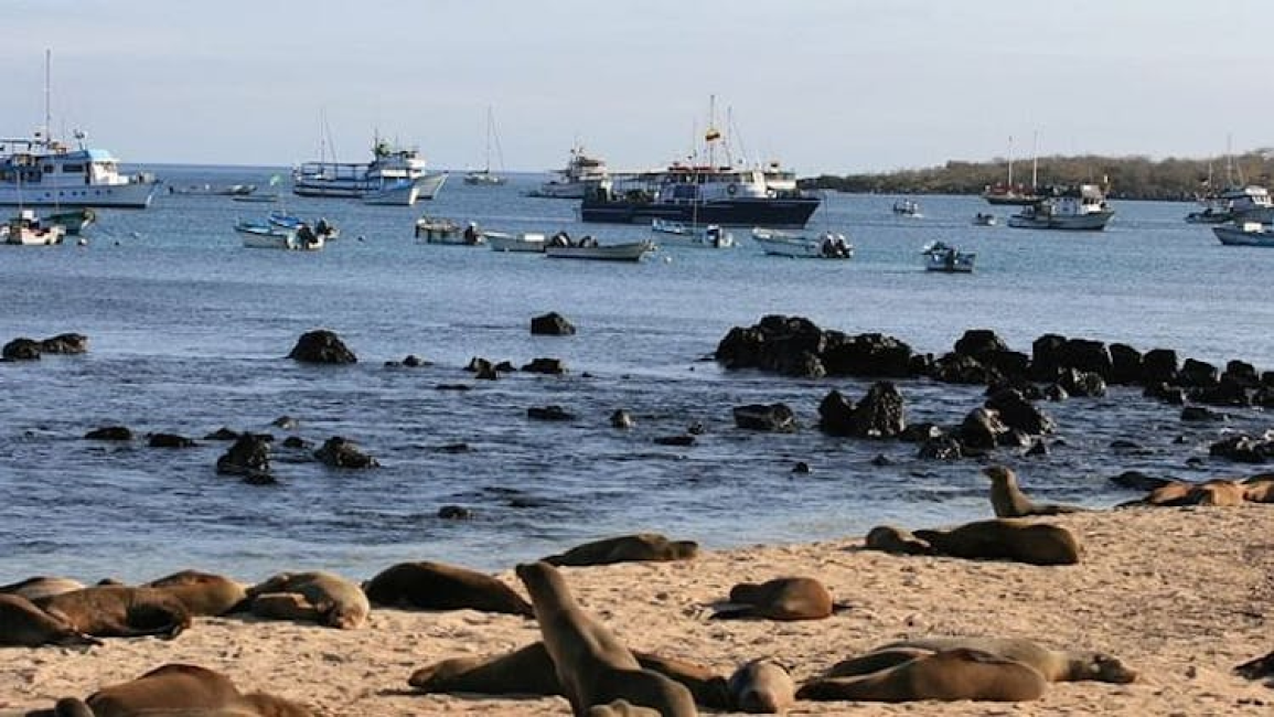 Pinzón Island full-day tour with snorkeling, fishing and La Fe ...