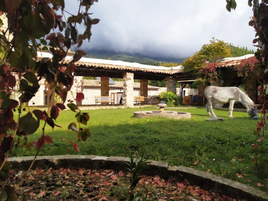 Sicilian villages tour with ricotta tasting - KKday
